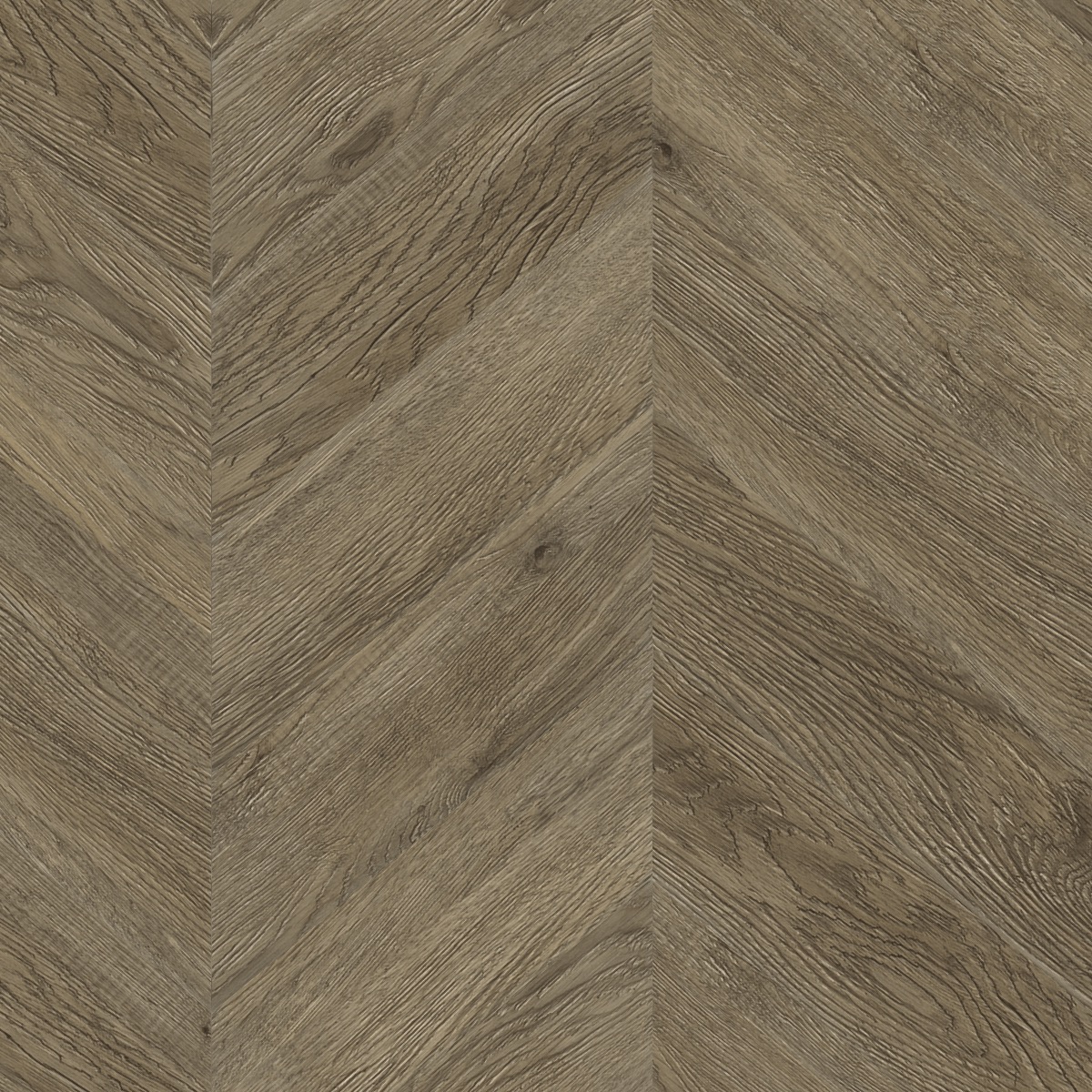 Regal Timber Chevron LVT | J2 Flooring